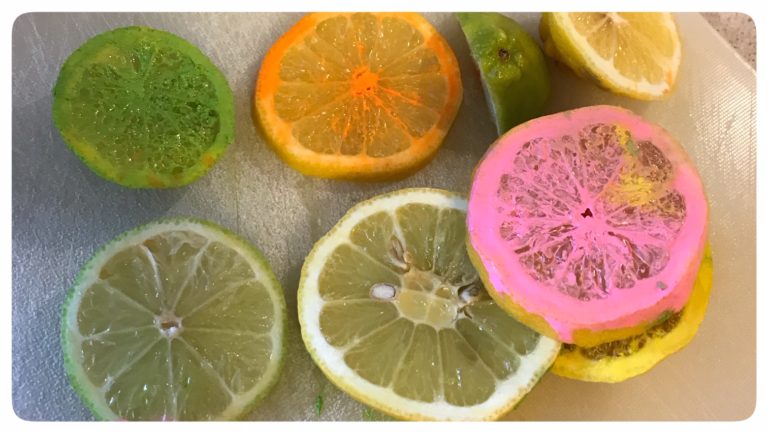 Fruit Stamping -- Fun Sensory Art Activity Activities with kids
