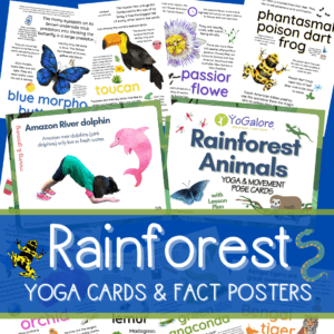 Rainforest Theme for the Classroom • Yogalore And More
