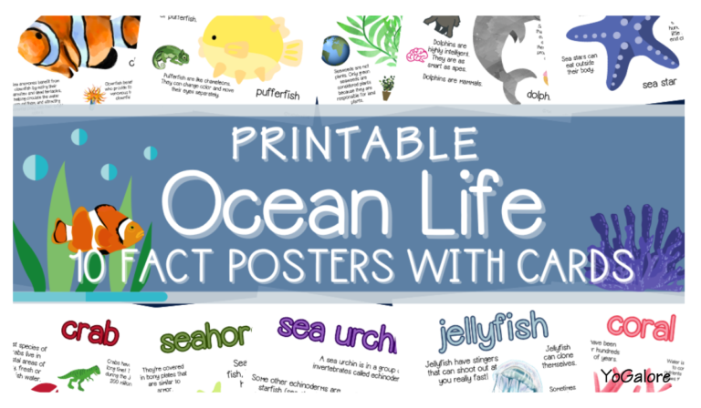 Ocean Fact Posters for Children: Not Just the Facts! • Yogalore And More