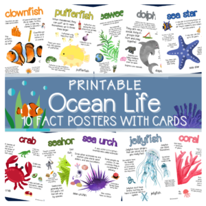 Ocean Fact Posters for Children: Not Just the Facts! • Yogalore And More