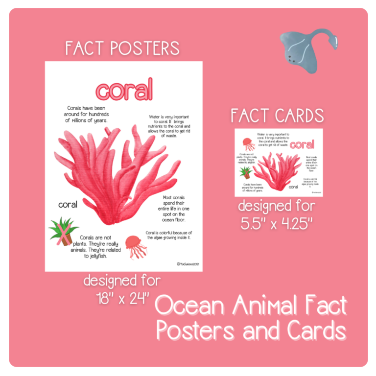 Ocean Fact Posters for Children: Not Just the Facts! • Yogalore And More