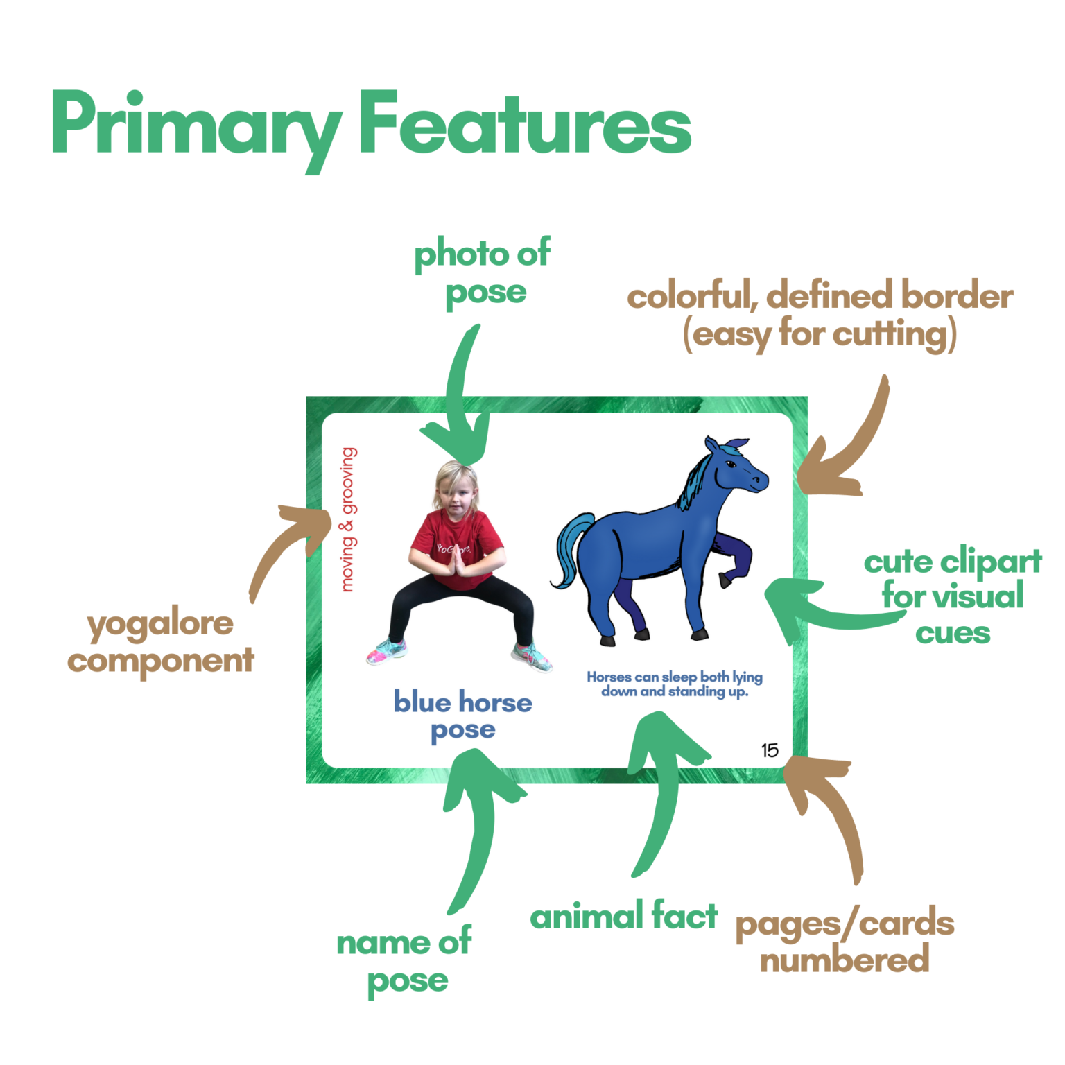 Activities for Brown Bear Brown Bear What Do You See?