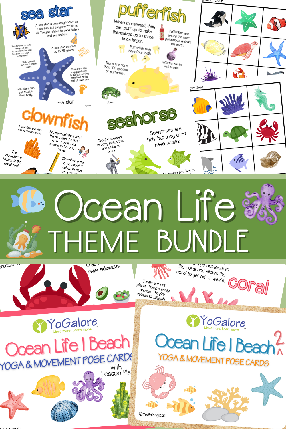 Animals in Ocean Zones: Where Do Sea Animals Live?